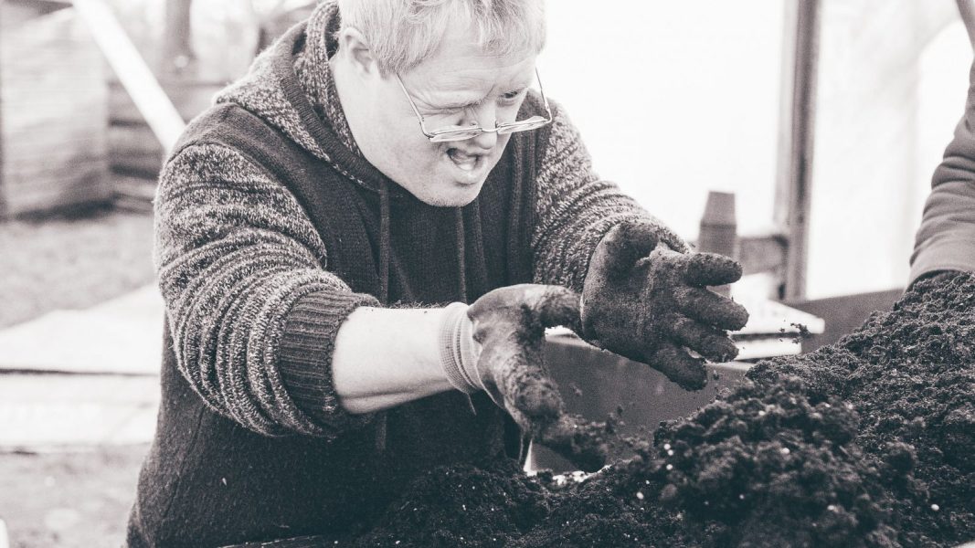 Support us - FitzRoy